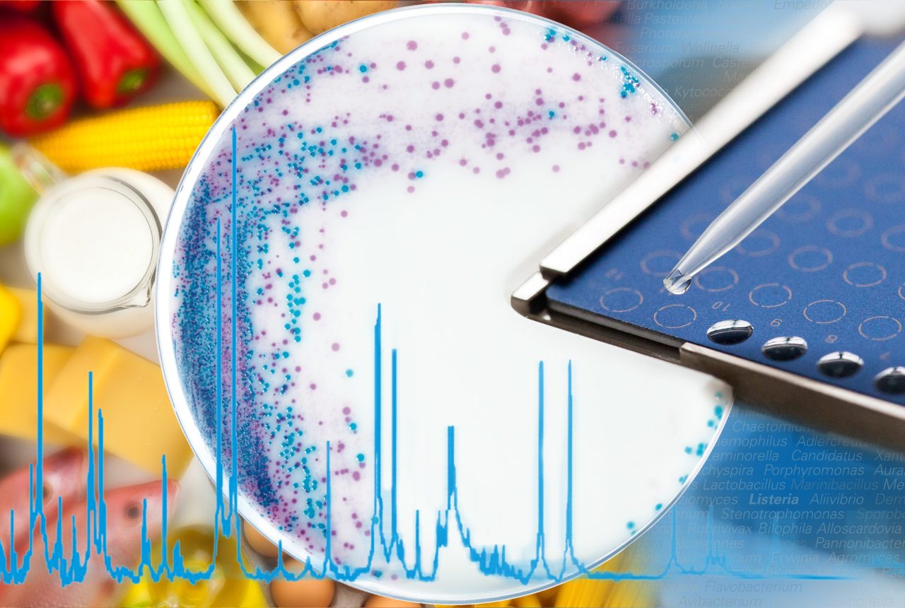 Food & Beverage Microbiology | Bruker