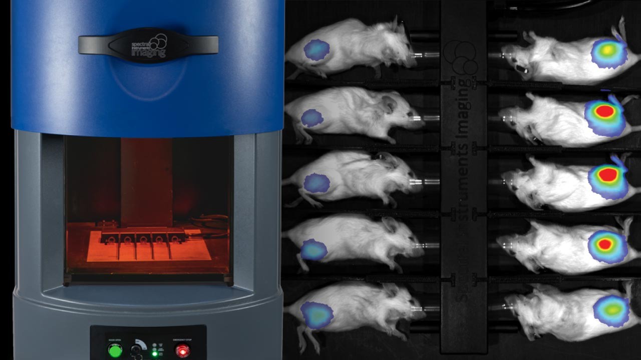 Präklinische Bildgebung | Bruker