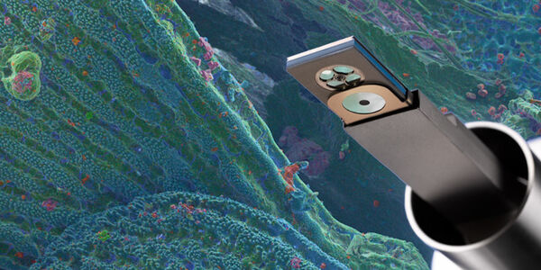 QUANTAX FlatQUAD | Bruker