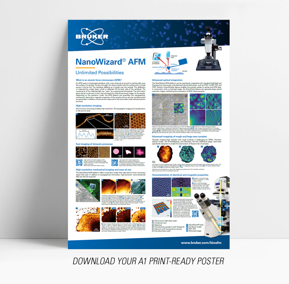 Free Download: NanoWizard BioAFM Poster | Bruker
