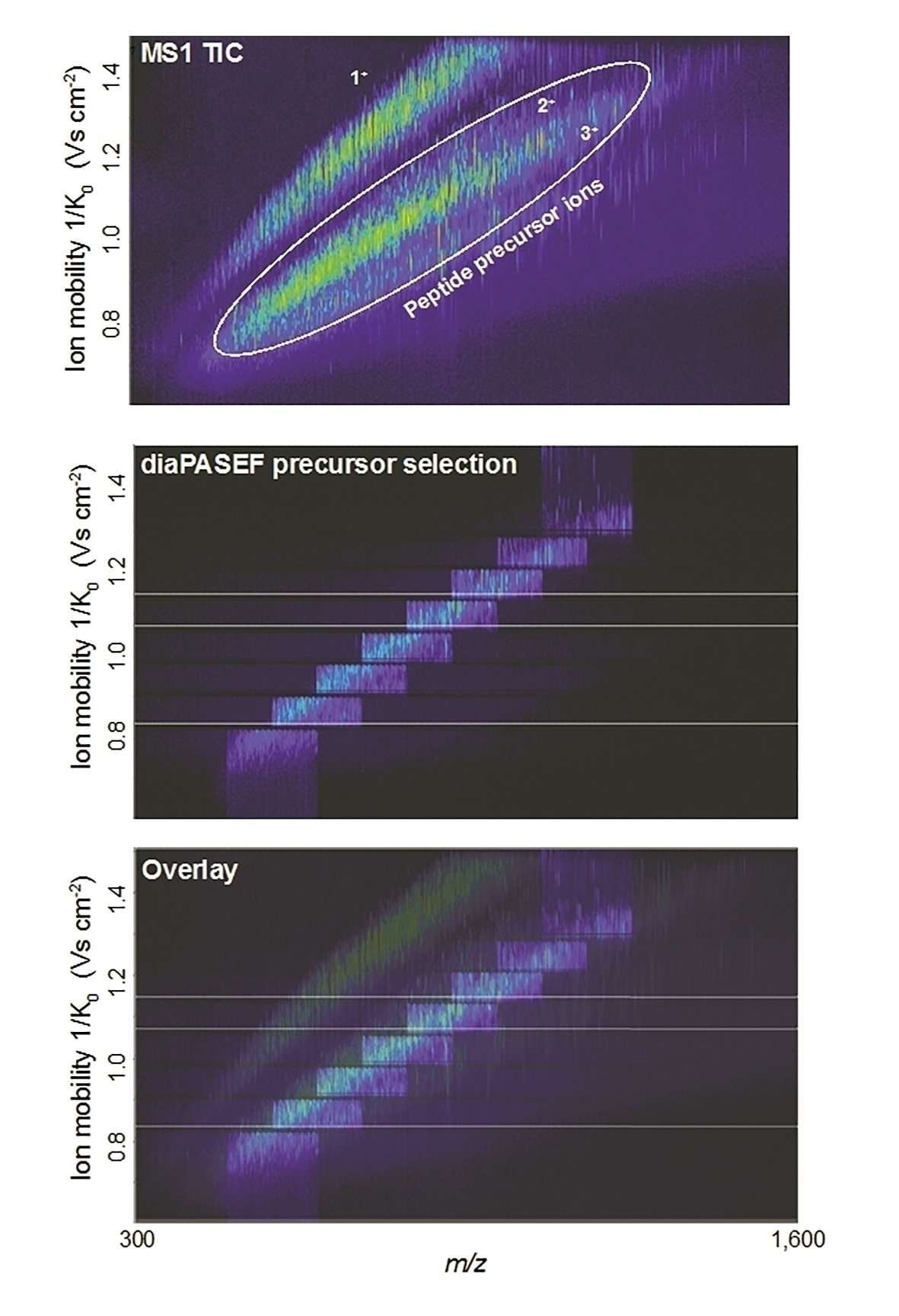 Bruker Announces Further Progress in 4D Proteomics and Additional Novel ...