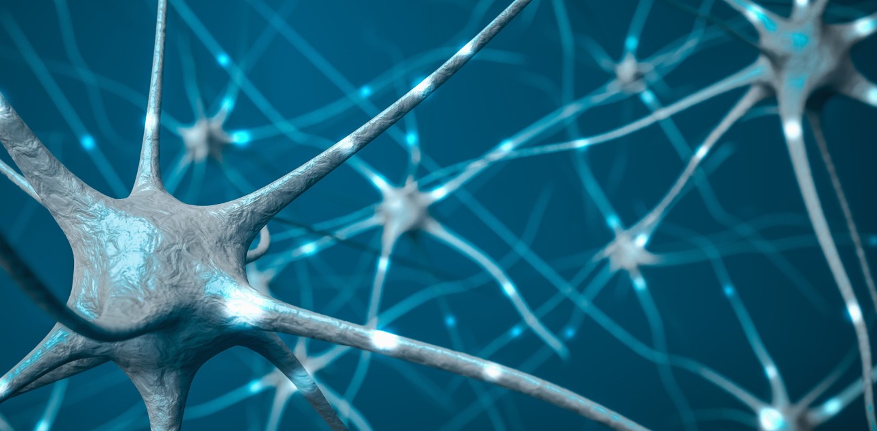 Bruker Technologies Enable Ground-Breaking Neuro Research | Bruker