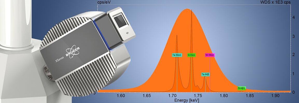 Microanalysis with High Spectral Resolution: The Power of QUANTAX WDS ...