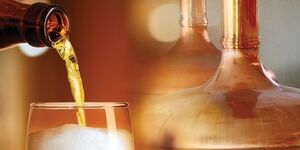 Aligning ESR Technology with Sensory Panels for Beer Freshness | Bruker