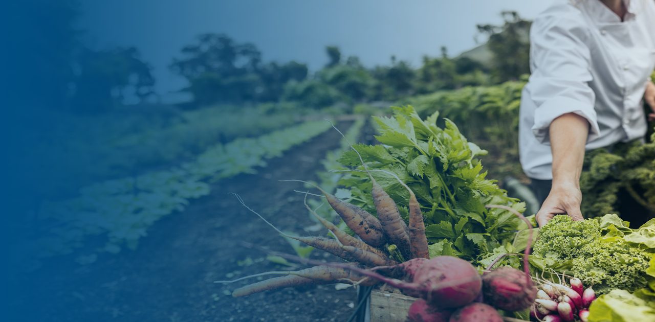 Application of New Mass Spectrometric Methods and Workflows to ...