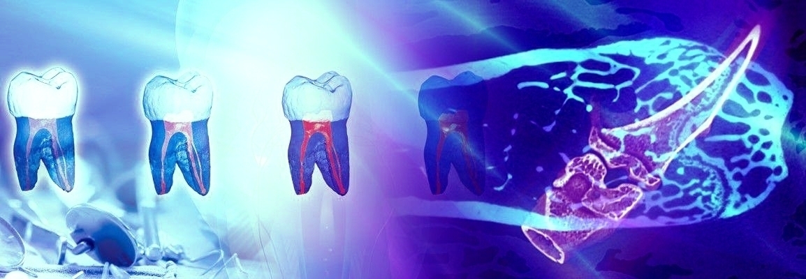 Micro-CT in 3D Data Integration and (Clinical) Workflows for Digital ...