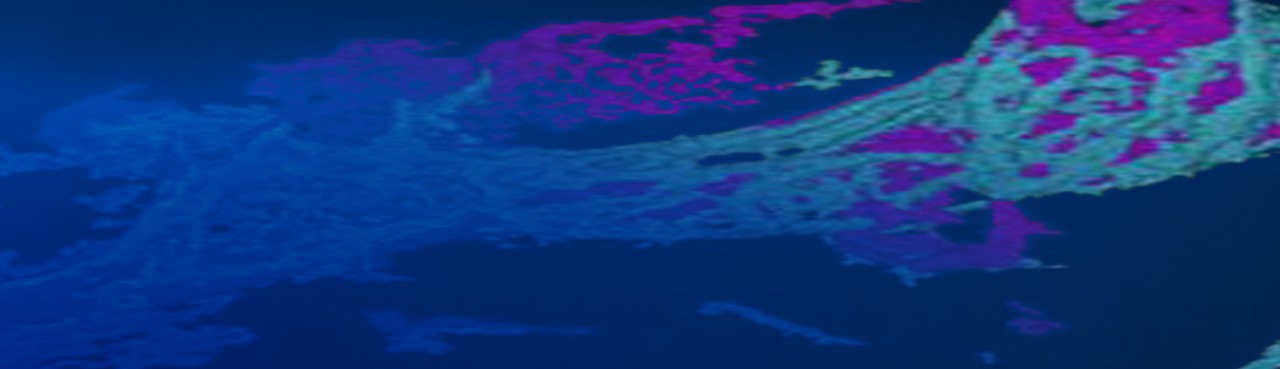 RAIN-STORM: Imaging the Molecular Architecture of Nervous System Tissue ...