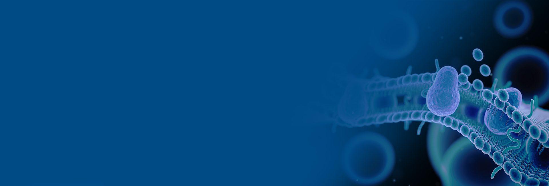 Study the Structure, Morphology and Biomechanics of Cells and Tissues ...