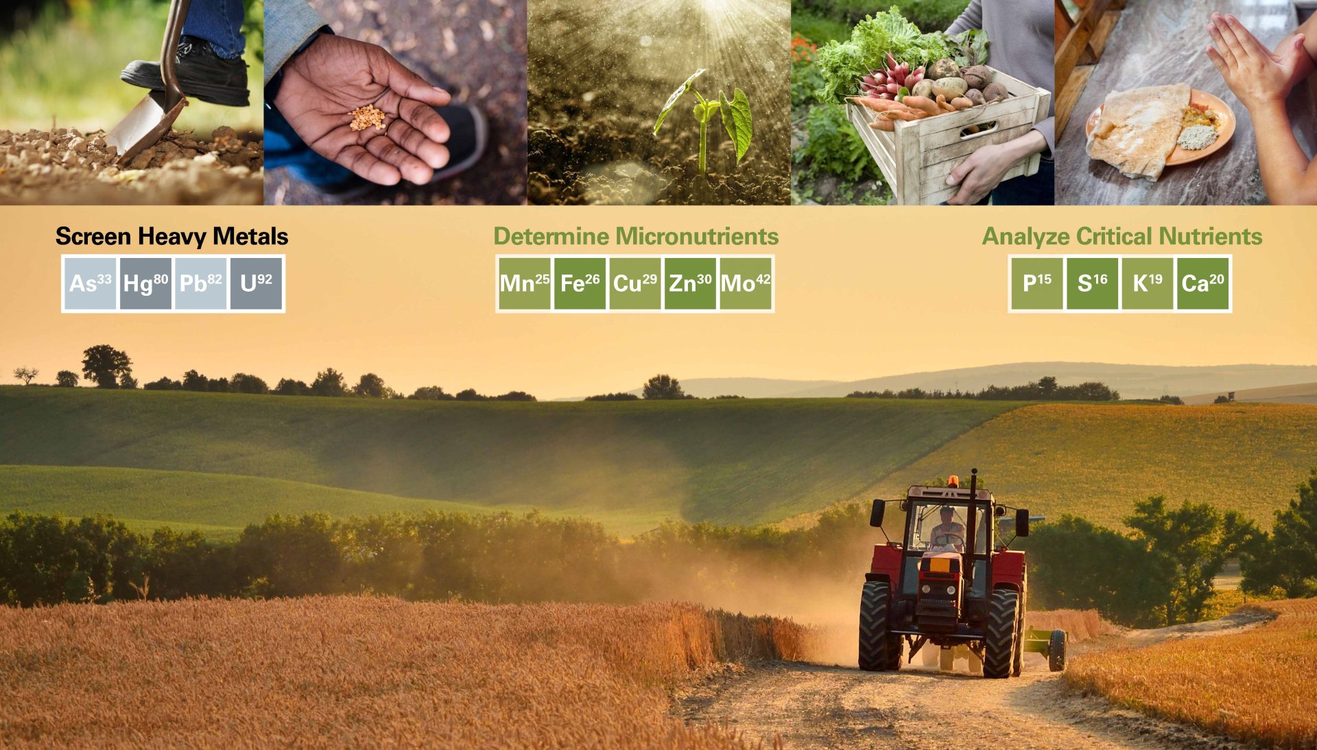 Food Safety and Agriculture | Bruker