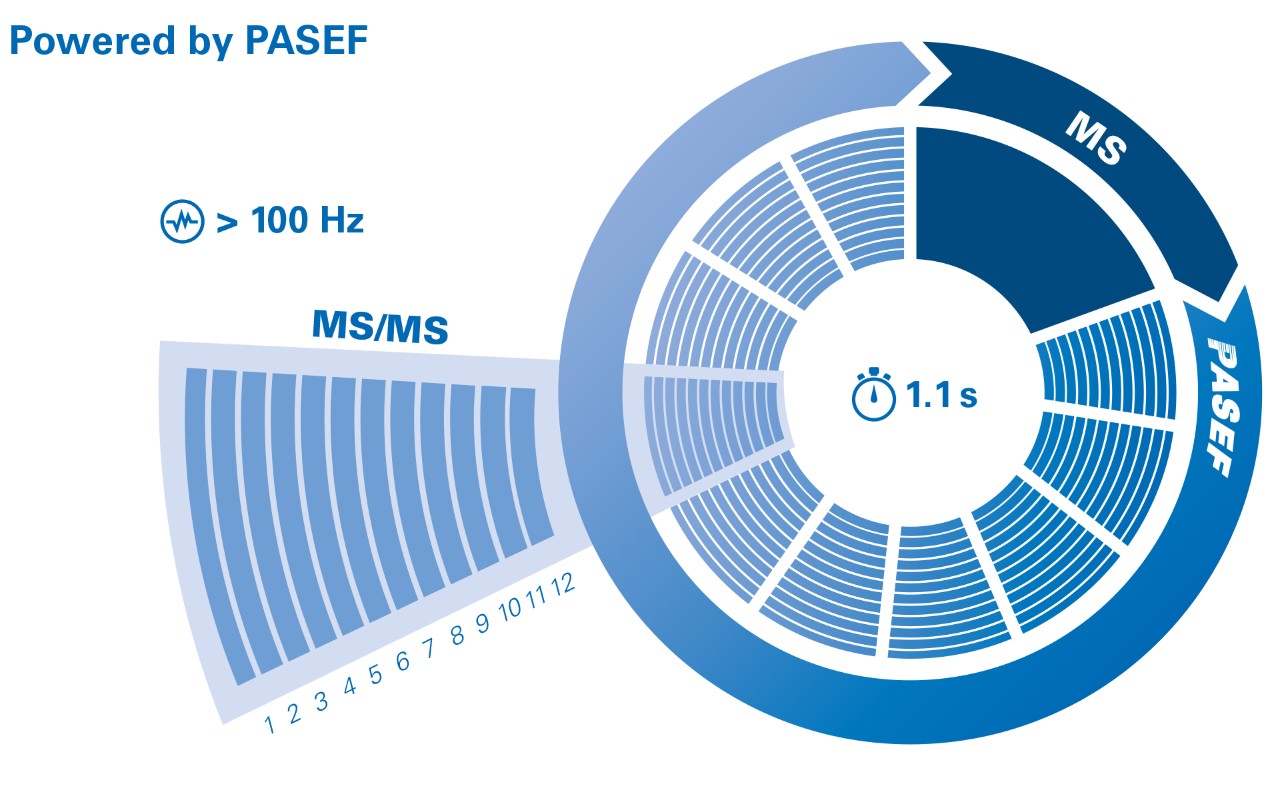 timsTOF Pro | Bruker