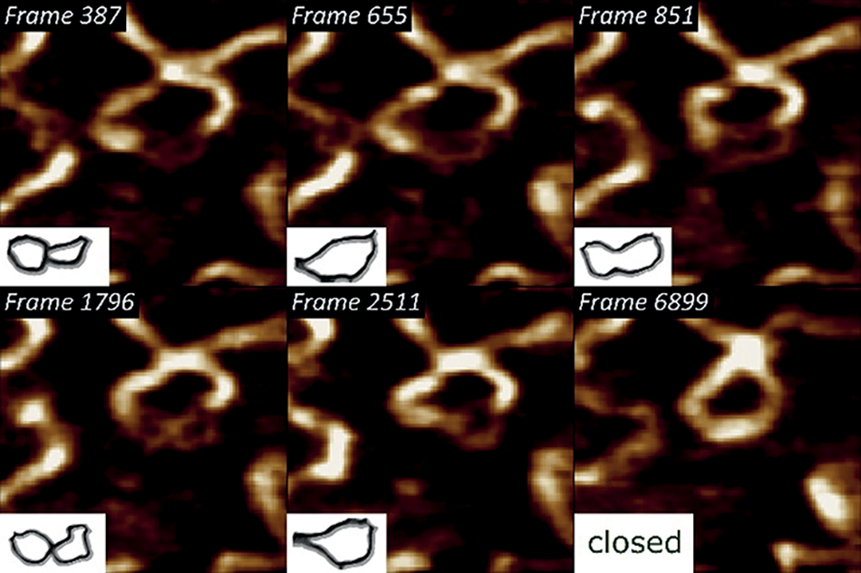 Tech Note: Real-Time Visualization of Biomolecular Dynamics with the ...