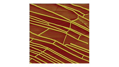 AFM Mode Morphology | Bruker