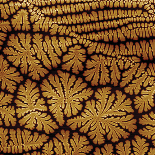 TappingMode | Bruker