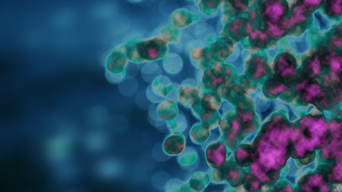 Biophysics and Biomechanics | Bruker