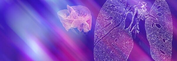 Pneumology | Lung Imaging | Respiratory Diseases | Bruker