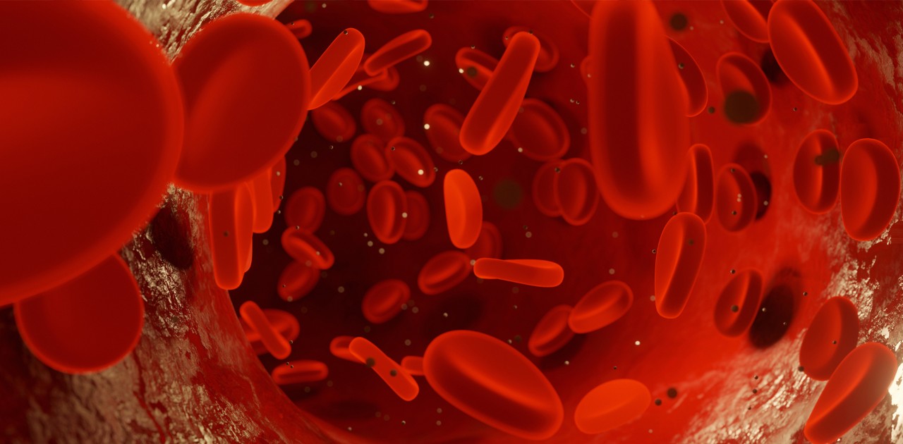 Plasma Proteomics | Bruker