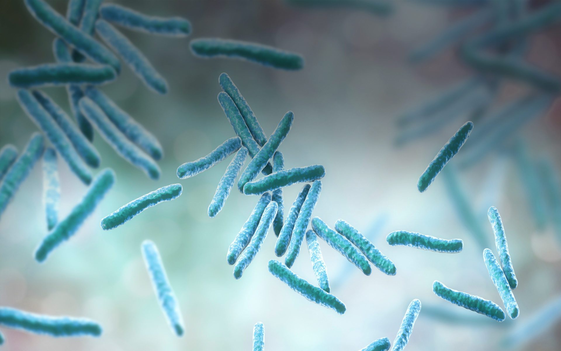 Mycobacteria | Bruker