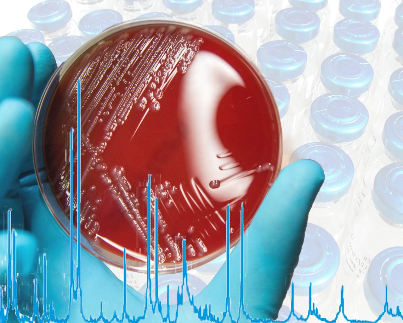 MALDI Biotyper® for Pharma | Bruker