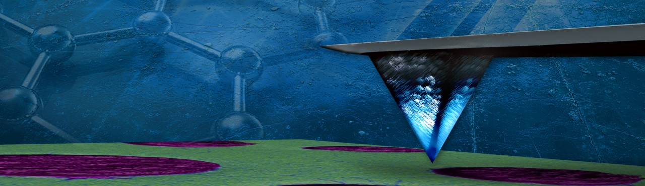 North American AFM User Meeting [2021] | Bruker