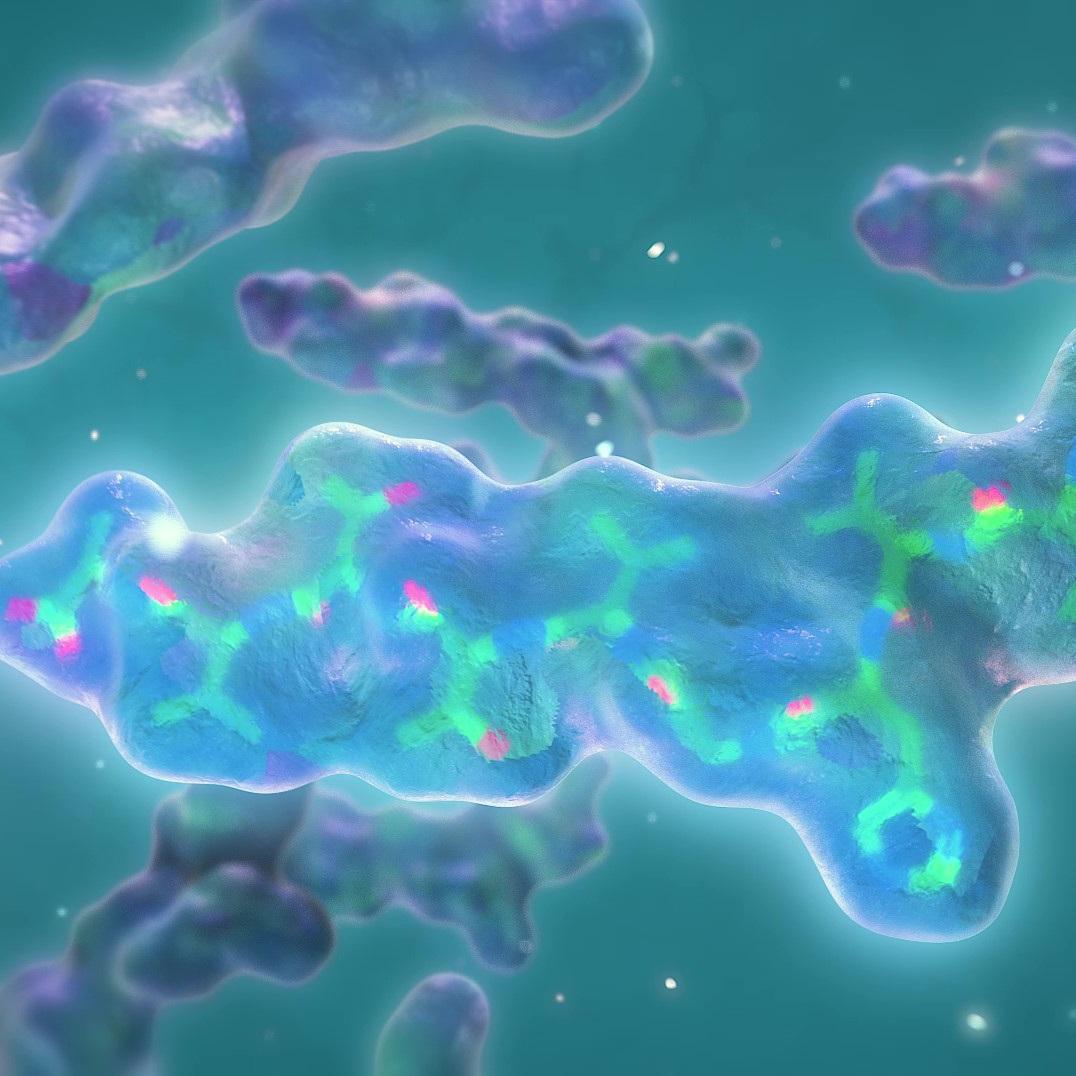 NSF-Funded Network for Advanced NMR Orders Two 1.1 GHz NMR Systems to ...