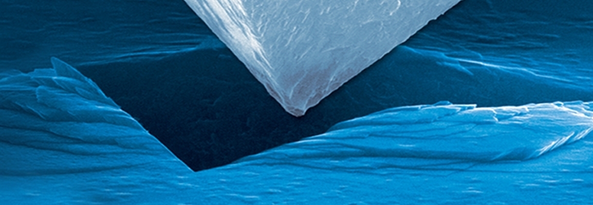 Electron Microscope Ice