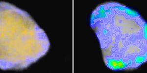 TEM, STEM and T-SEM EDS Quantification at its Best | Bruker