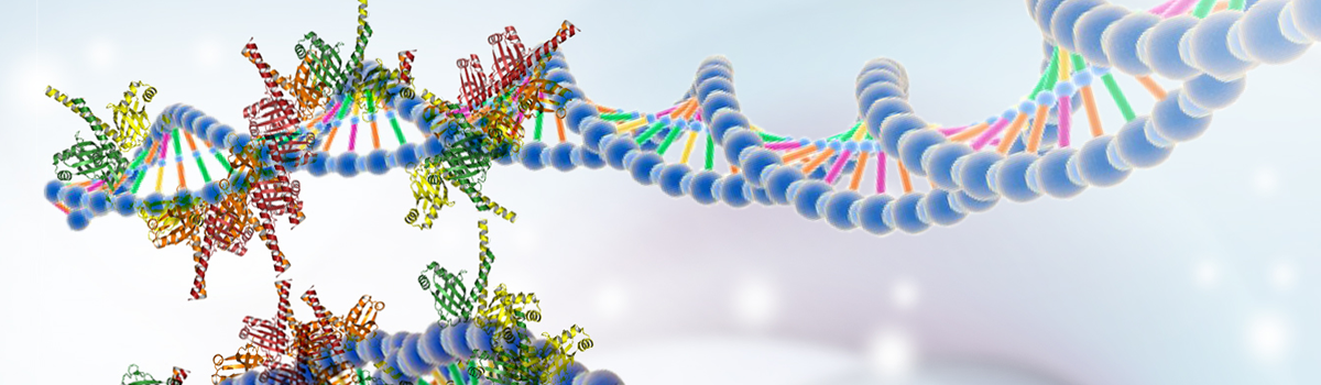 Life Science Dna