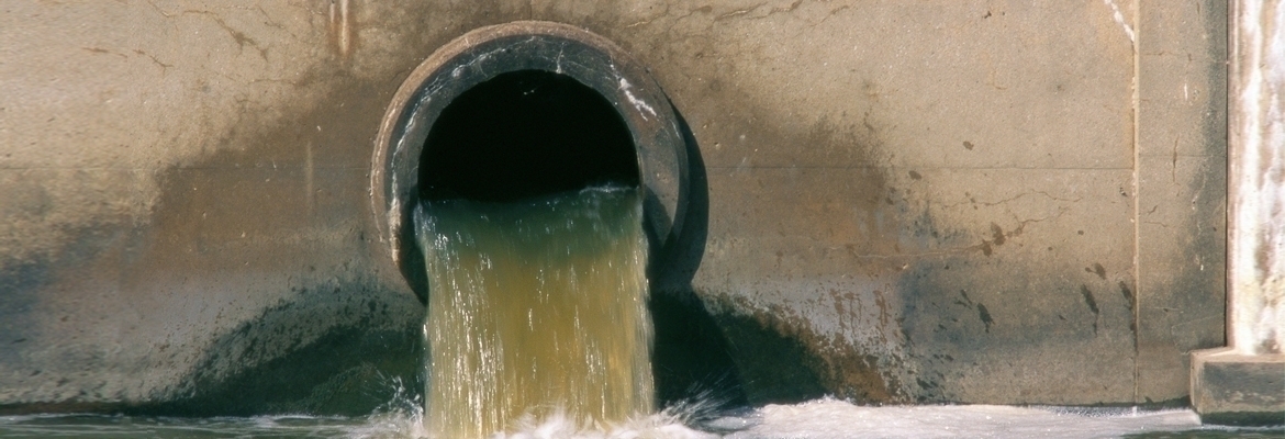 Rapid On-site Trace Element Analysis of Wastewater, Sewage and ...