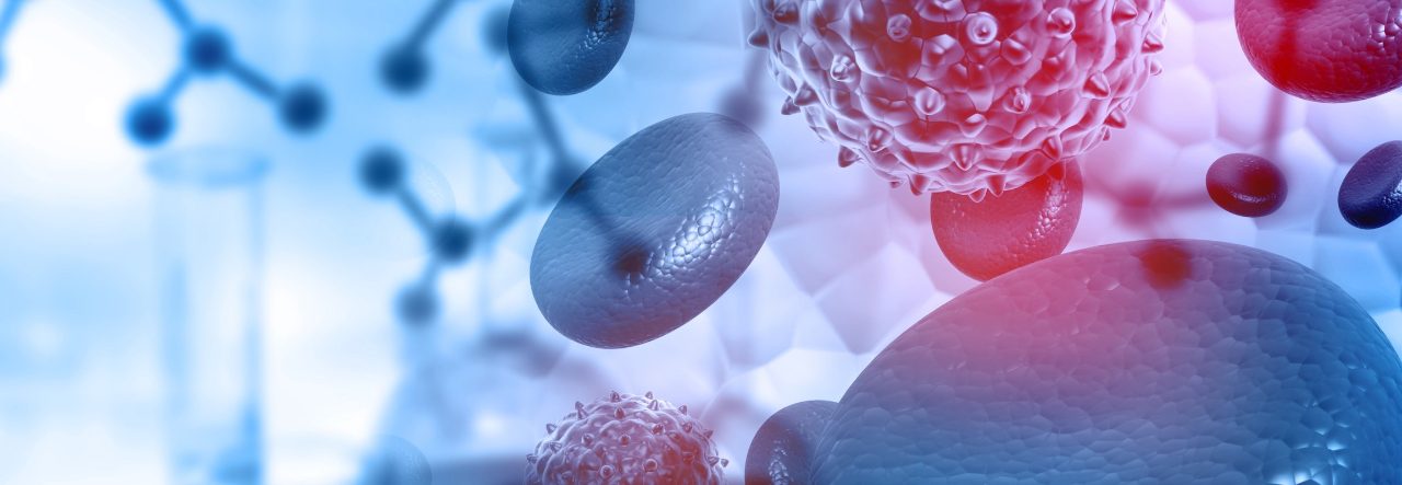 Live Demonstration of Fourier 80 Benchtop NMR | Bruker