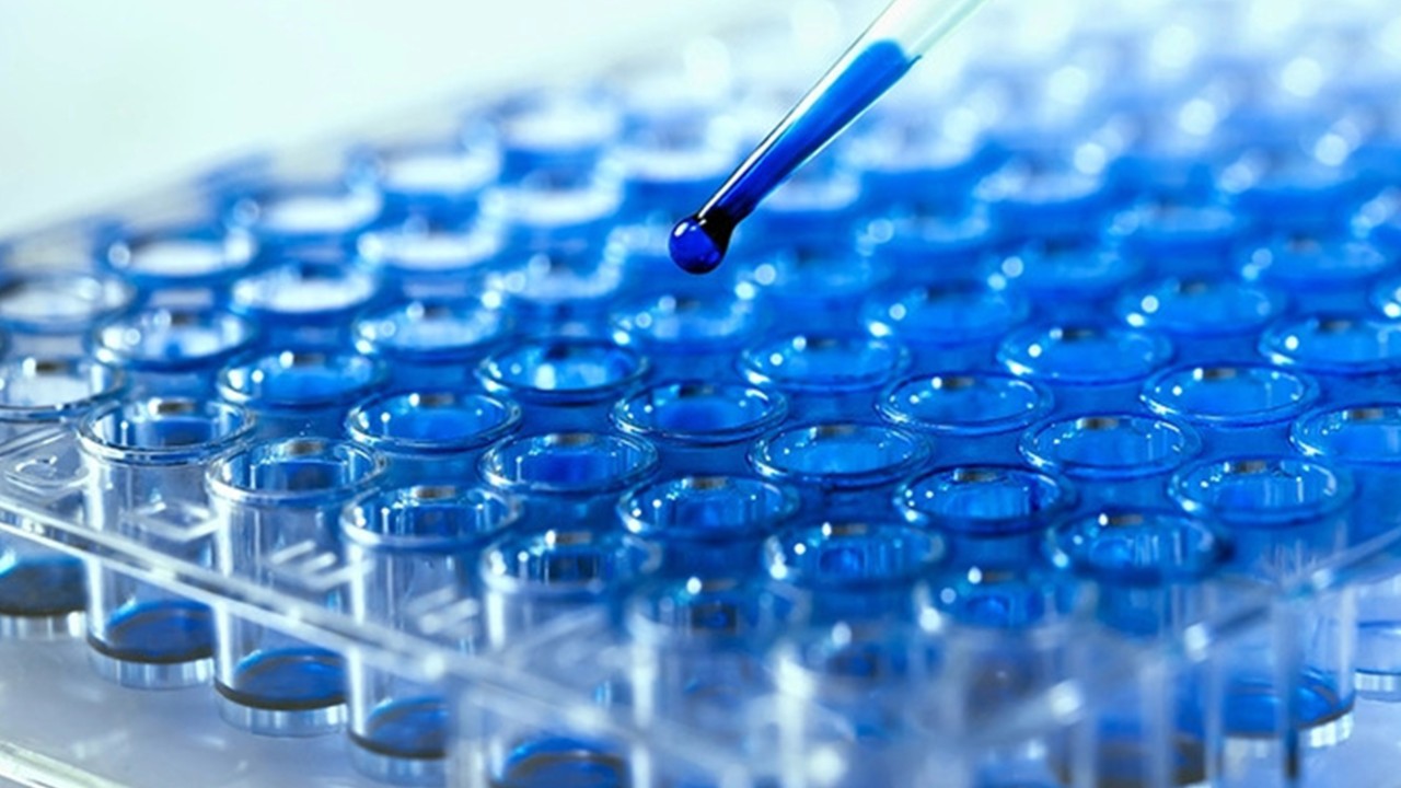 Bead Assisted Mass Spectrometry assay platform for targeted proteomics ...