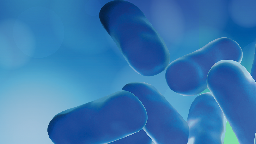 BioAFM Webinar - Let's try AFM - Bio AFM from the basics | Bruker