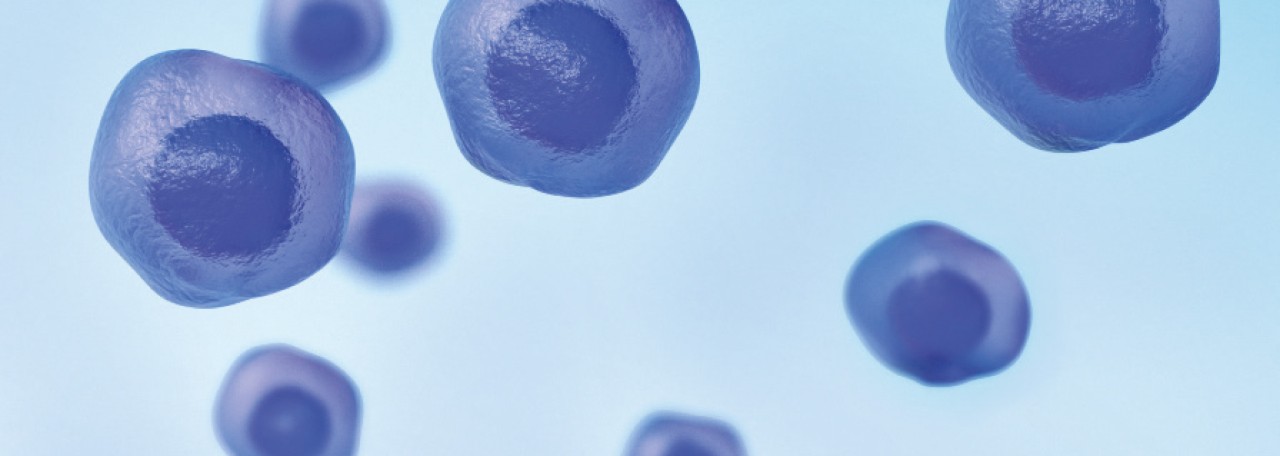 Developing Mass Spectrometry for Deep and Quantitative Single-Cell ... Developing Mass Spectrometry for Deep and Quantitative Single-Cell ...