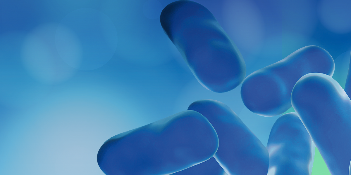 Novel Insights into the Role of Biomechanics in Cell Biology | Bruker