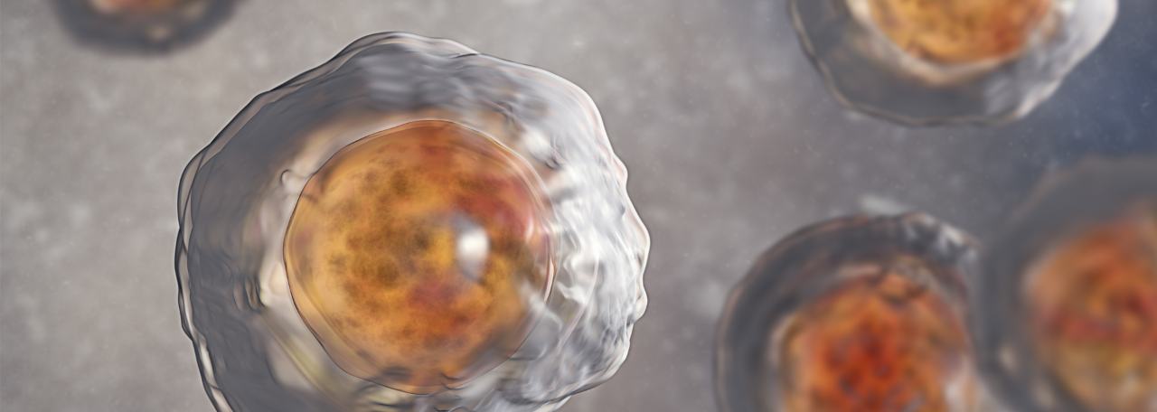 Setting and maintaining the single cell proteomics benchmark - Meet the ...