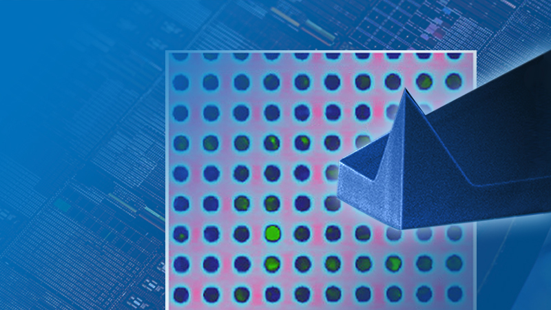 Automated AFM for Inline Hybrid Bonding Metrology in the Semiconductor ...