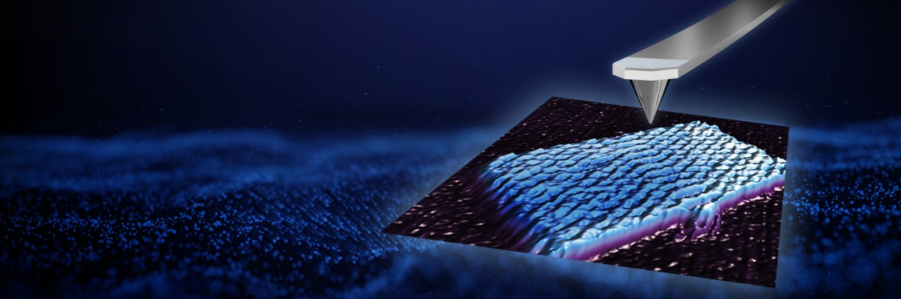 High-Speed AFM: Fundamentals, Applications, and Integration with ...