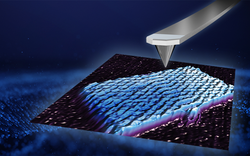 High-Speed AFM: Fundamentals, Applications, and Integration with ...