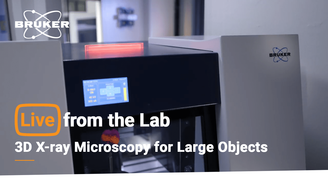 S4 E1: 3D X-ray Microscopy for Large Objects | Bruker