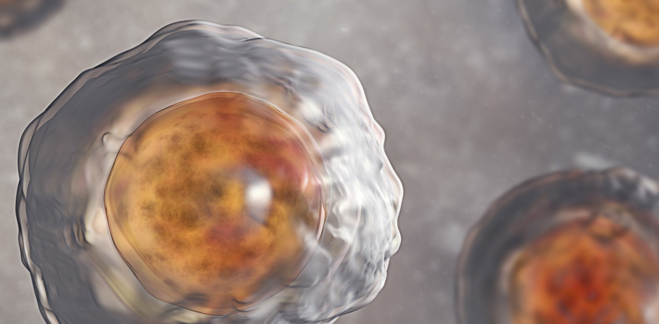 timsTOF Ultra: Immunopeptidomics and single cell proteomics explorations | Bruker