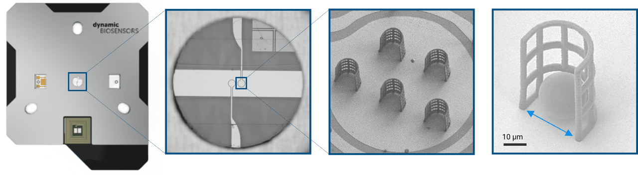 heliX cyto | Bruker