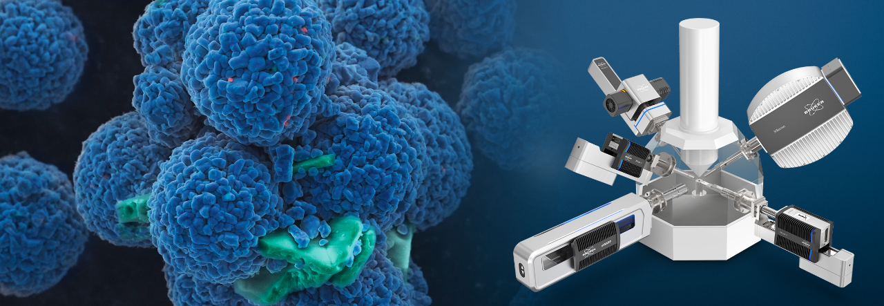 EDS, WDS, EBSD, SEM 마이크로-XRF | Bruker