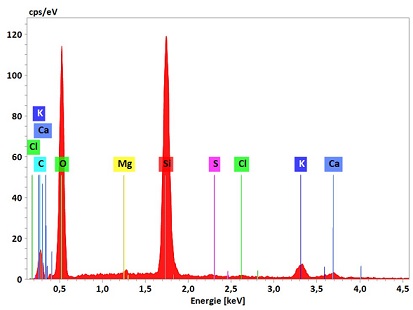 이중 EDS 검출을 이용한 쐐기풀 식물의 원소 분석 | Bruker