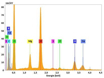 이중 EDS 검출을 이용한 쐐기풀 식물의 원소 분석 | Bruker