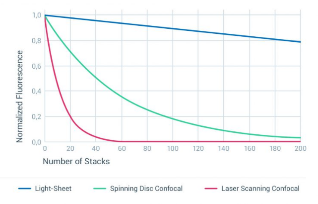 Light Sheet Microscopy Advantages | Shelly Lighting