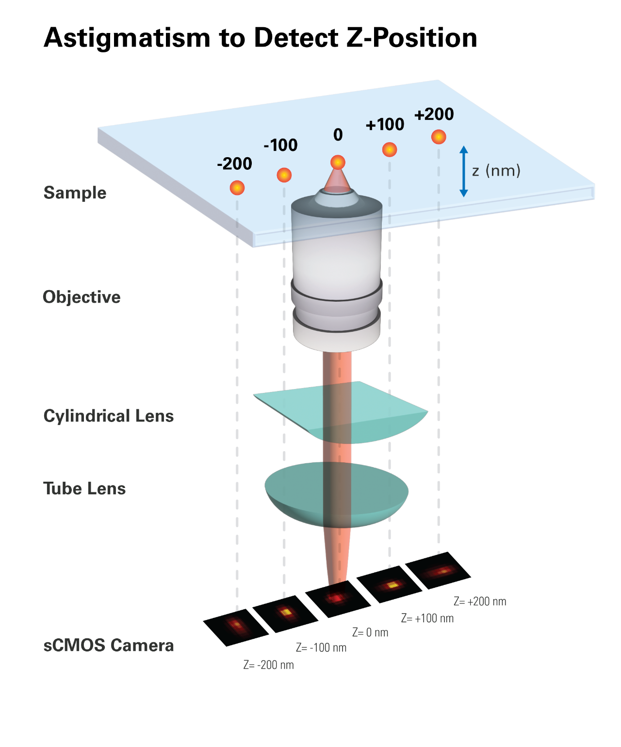 3D Imaging with Bi-Plane | Bruker