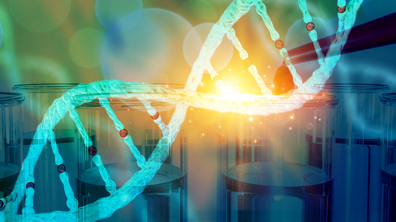 Super-Resolution Microscopes | Bruker