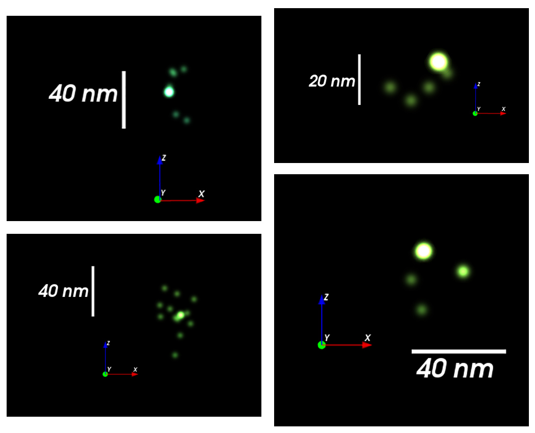 vesicles under light microscope