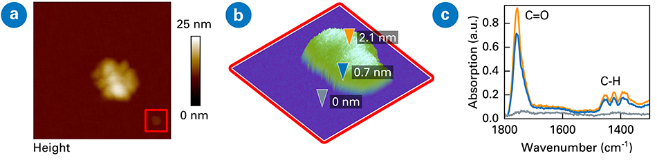 Application Note: Photothermal AFM‑IR for Semiconductor Materials and ...