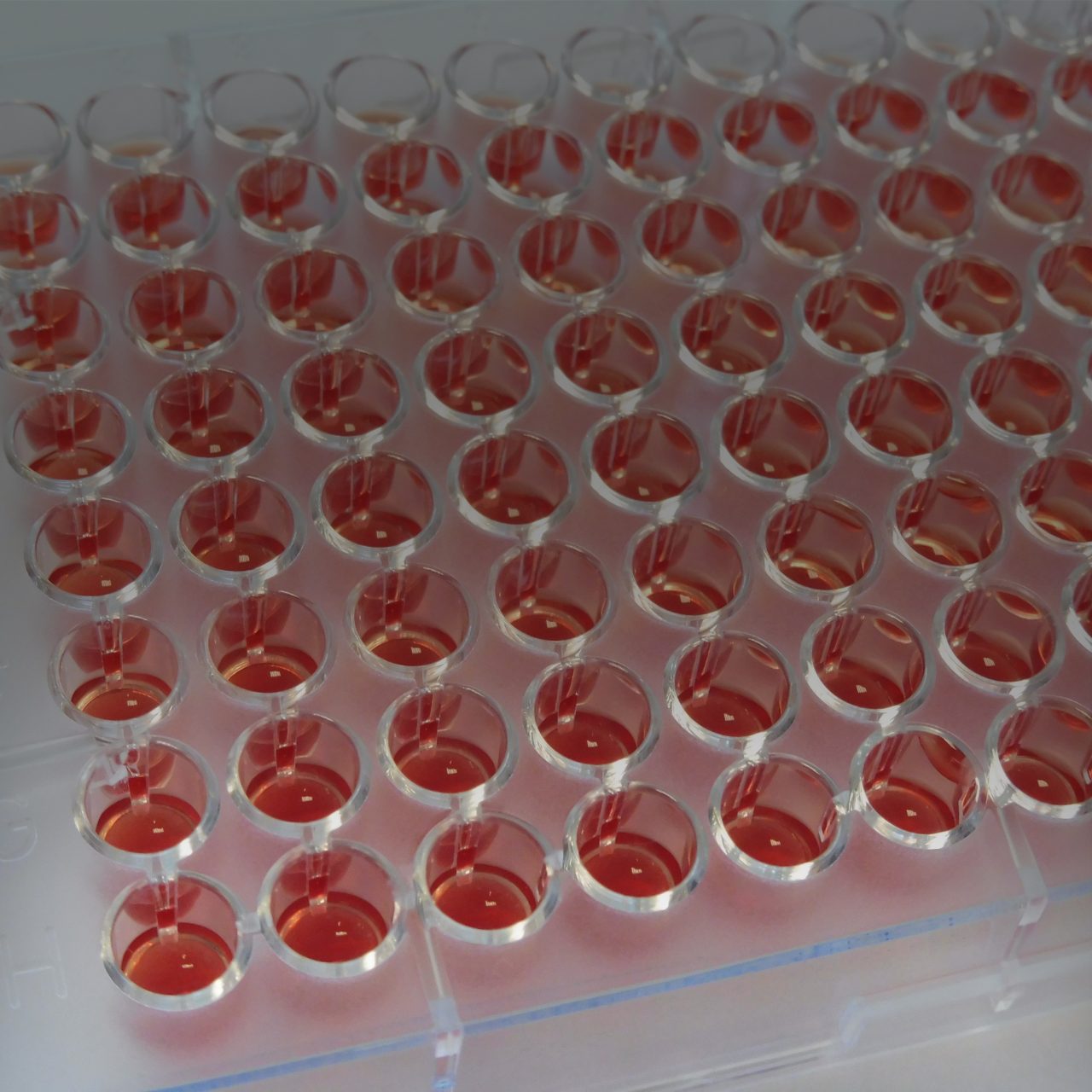 MICRONAUT-S Pneumococci & Haemophilus MIC | Bruker