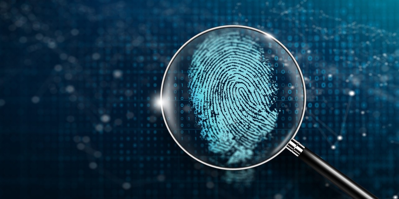 Microbial Identification | Bruker